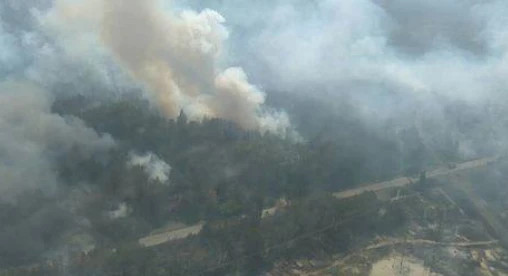 The fire that raged in the forest in Kakheti has been extinguished ...